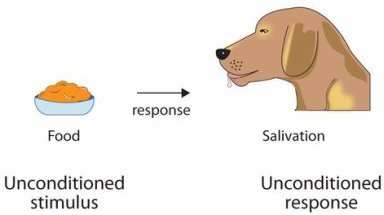 Conditioned Response In Psychology