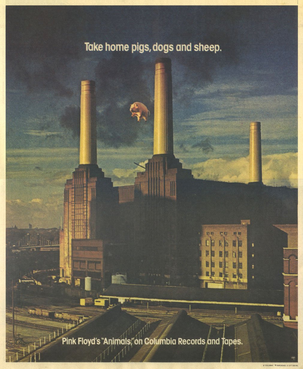 Pink Floyd Animals Album Covers