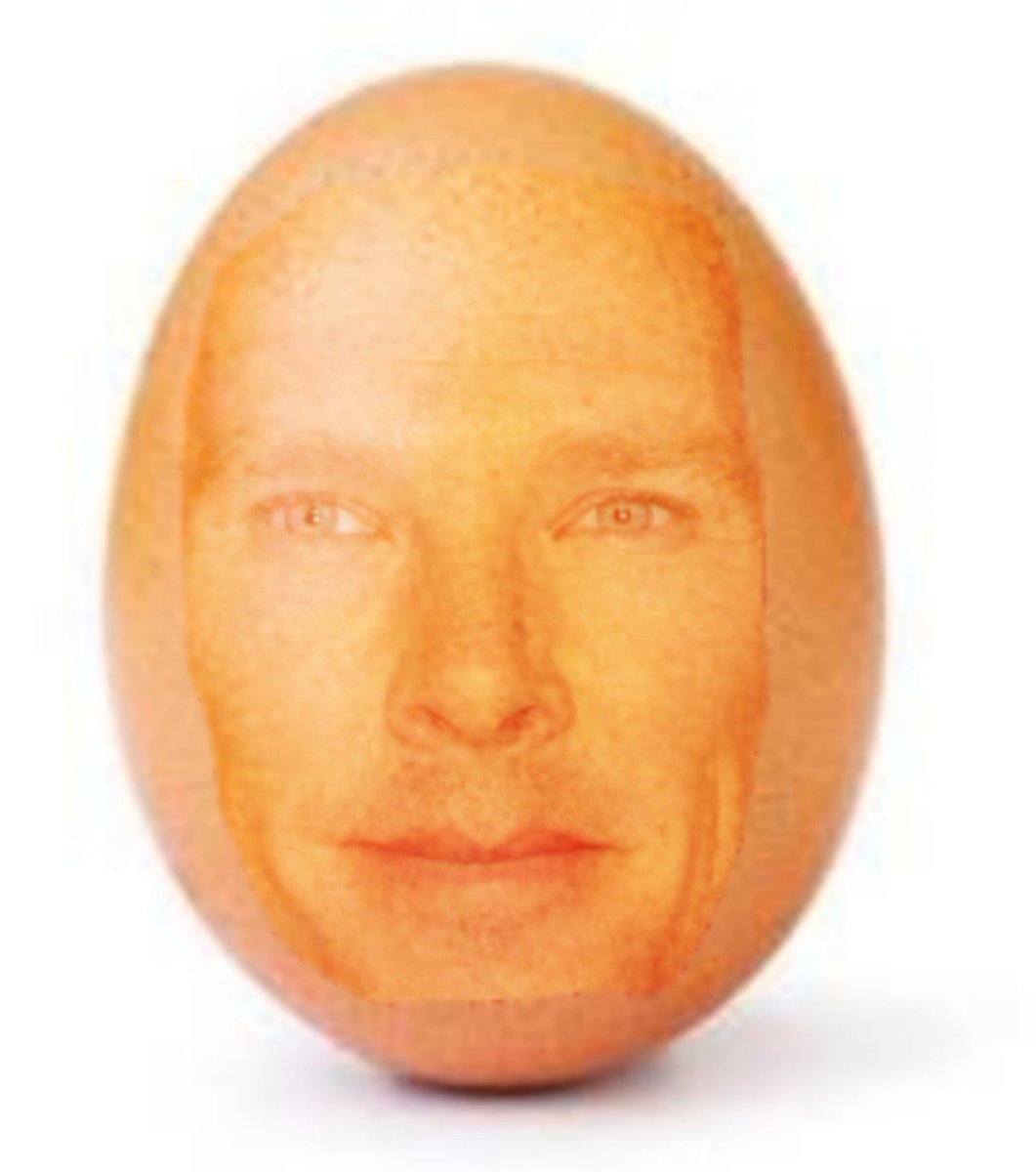 Howtobasic Egg
