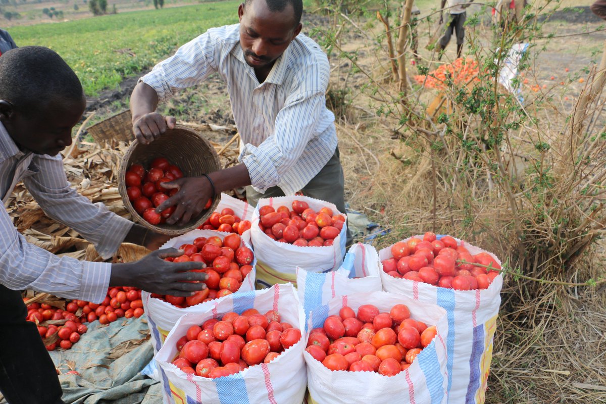 Aloysie Manishimwe (@AloysieManishi2) | Twitter