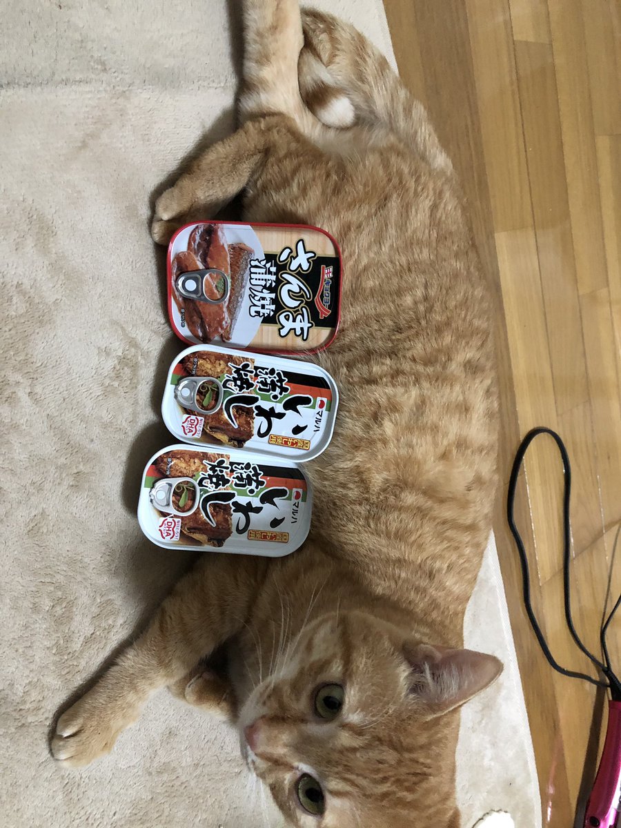 LisaMoco (@moco_lisa) | Twitter