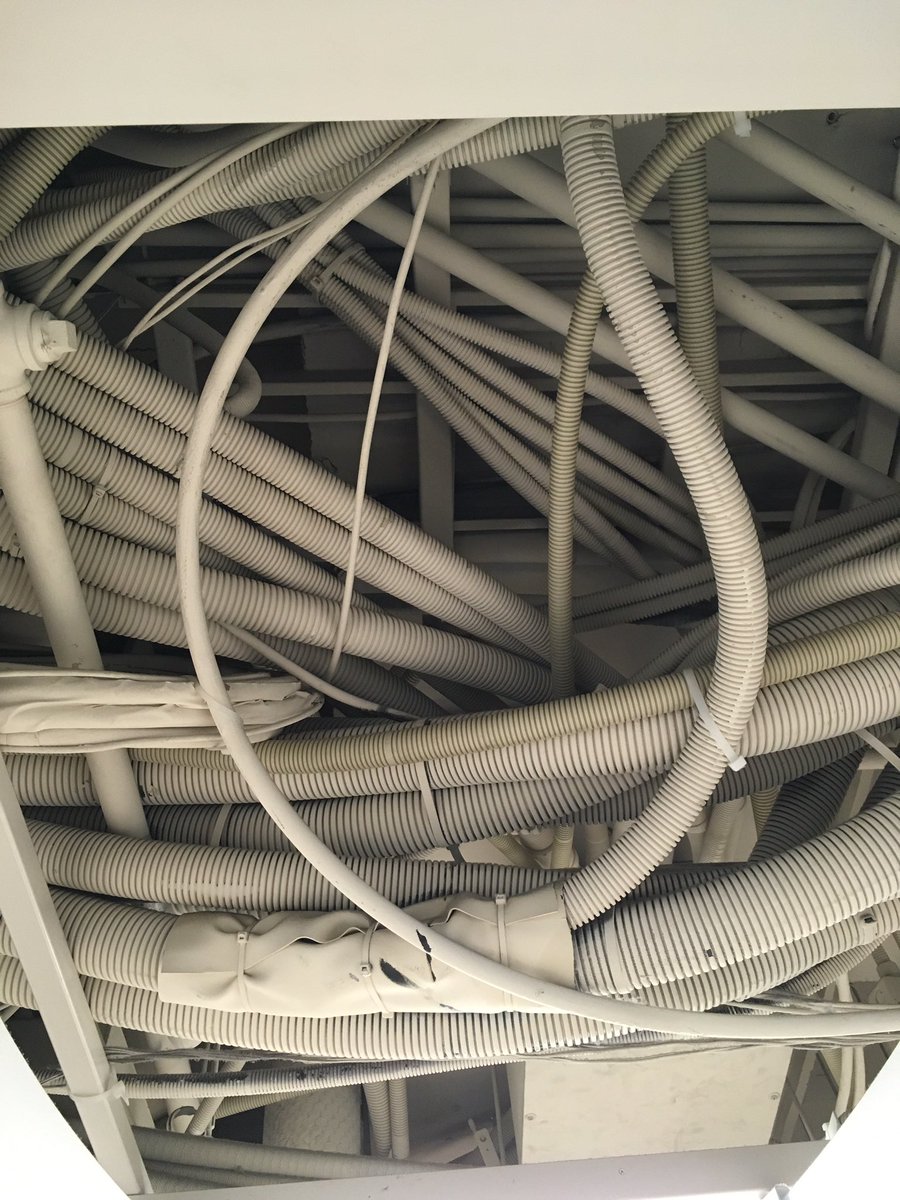 Twoucan - 藻洲 転石(Tenseki Moss) (@moss_ymmt413)