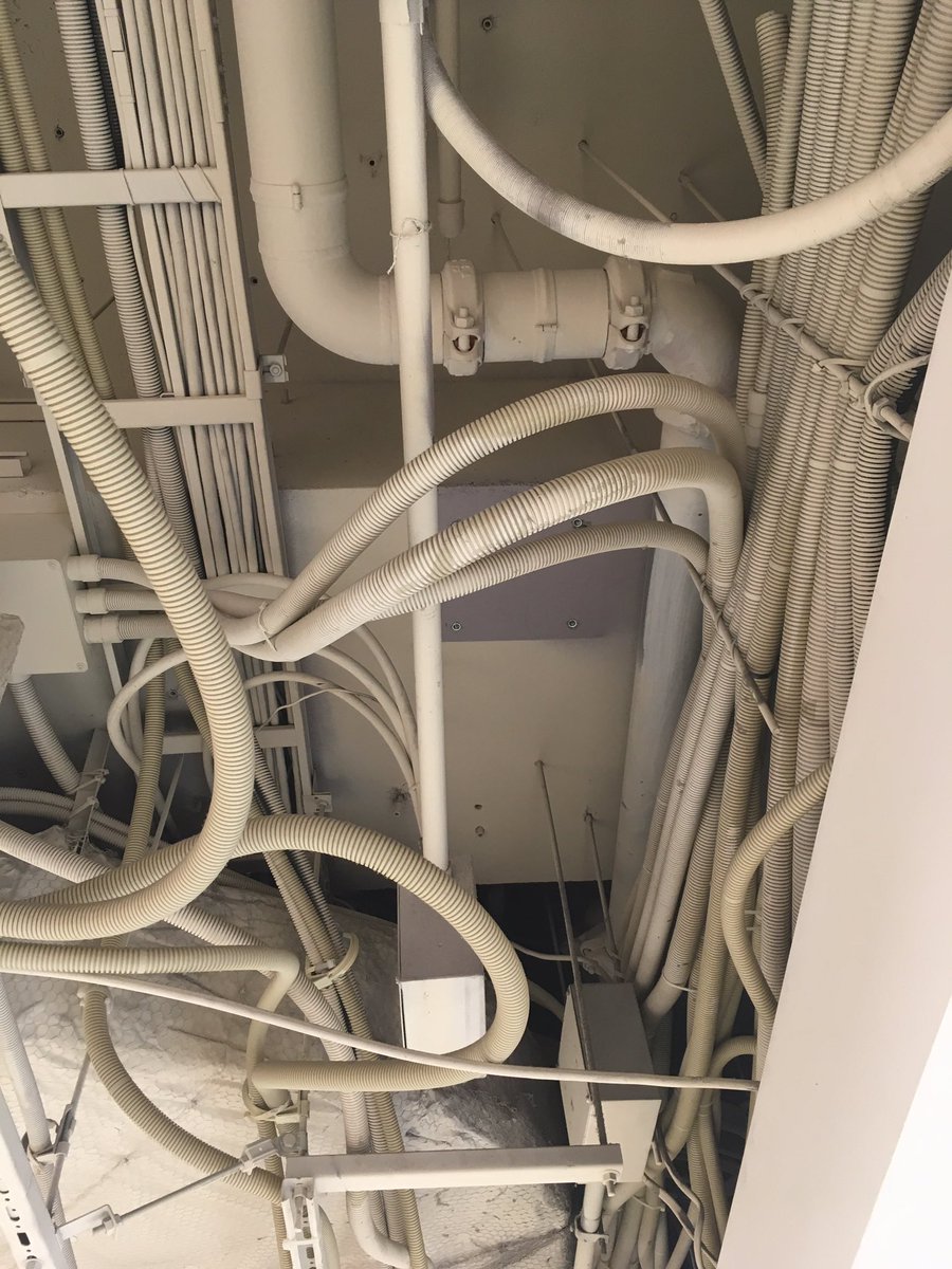 Twoucan - 藻洲 転石(Tenseki Moss) (@moss_ymmt413)