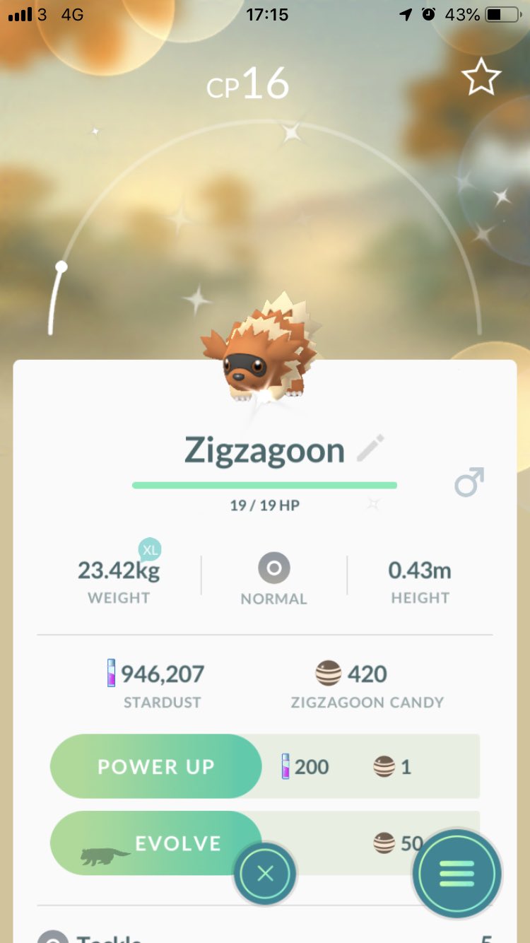 Shiny Zigzagoon Pokemon X