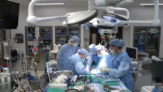 Holly Koiro (@mindboggle) | Twitter