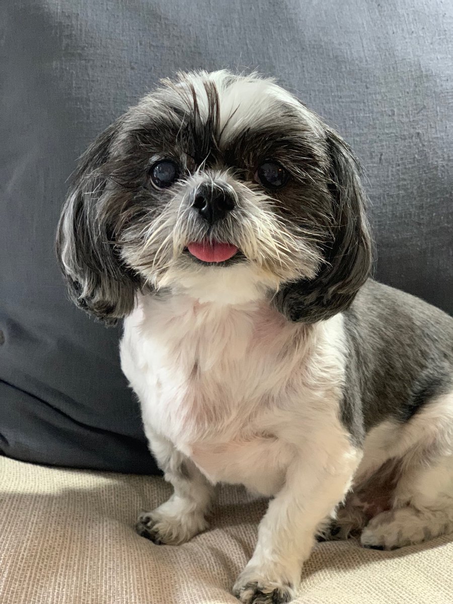 48 best Twitter u/bexmader images on Pholder | This guy ⁦@marcuskayne ...