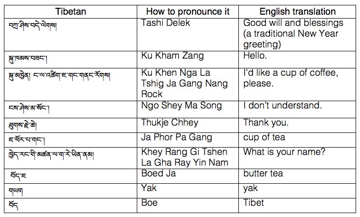 Tibetan Language Translator