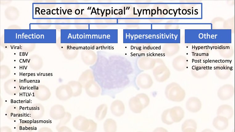 Atypical Lymphocytes Ebv