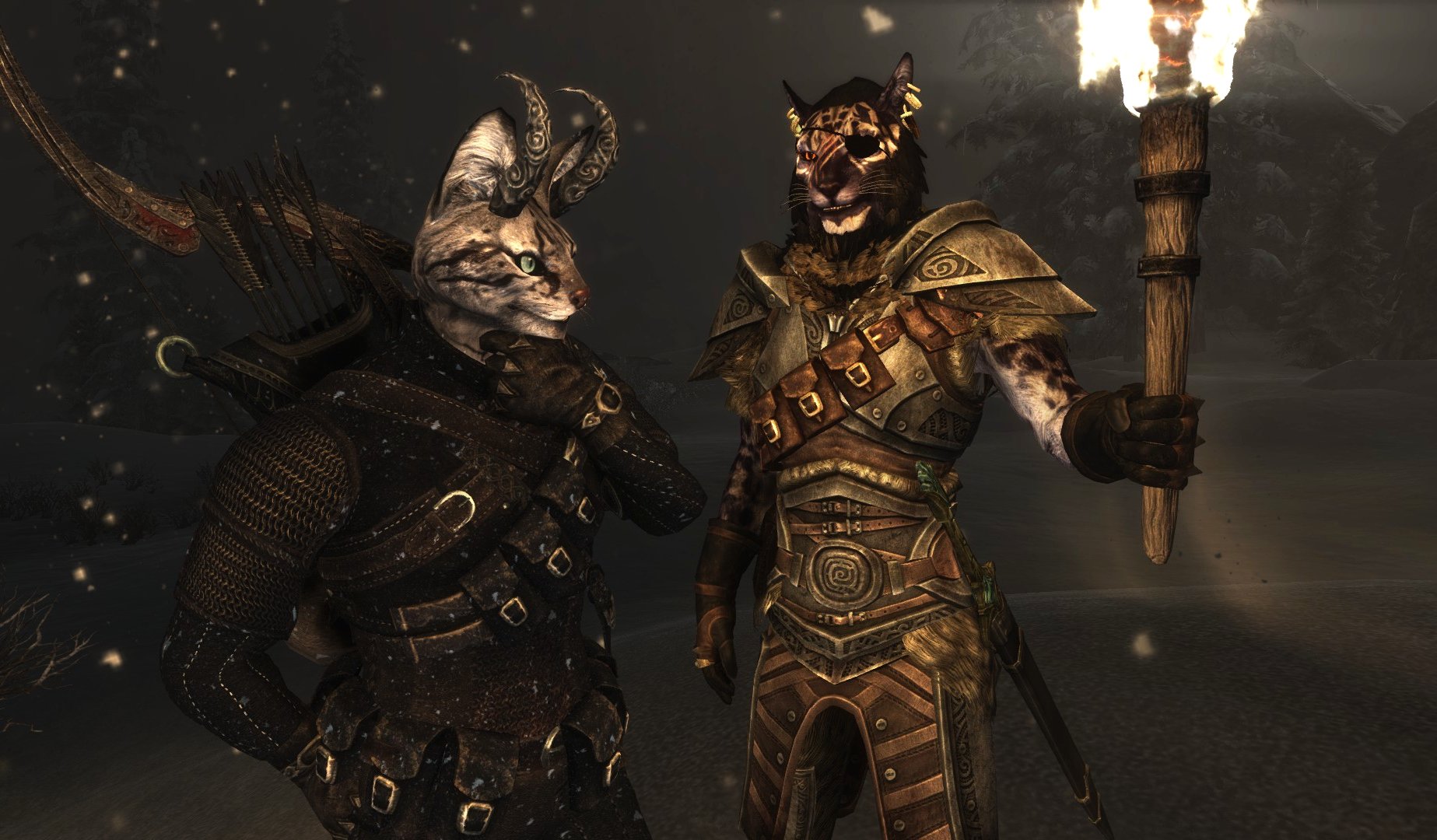 Khajiit Skyrim Armor