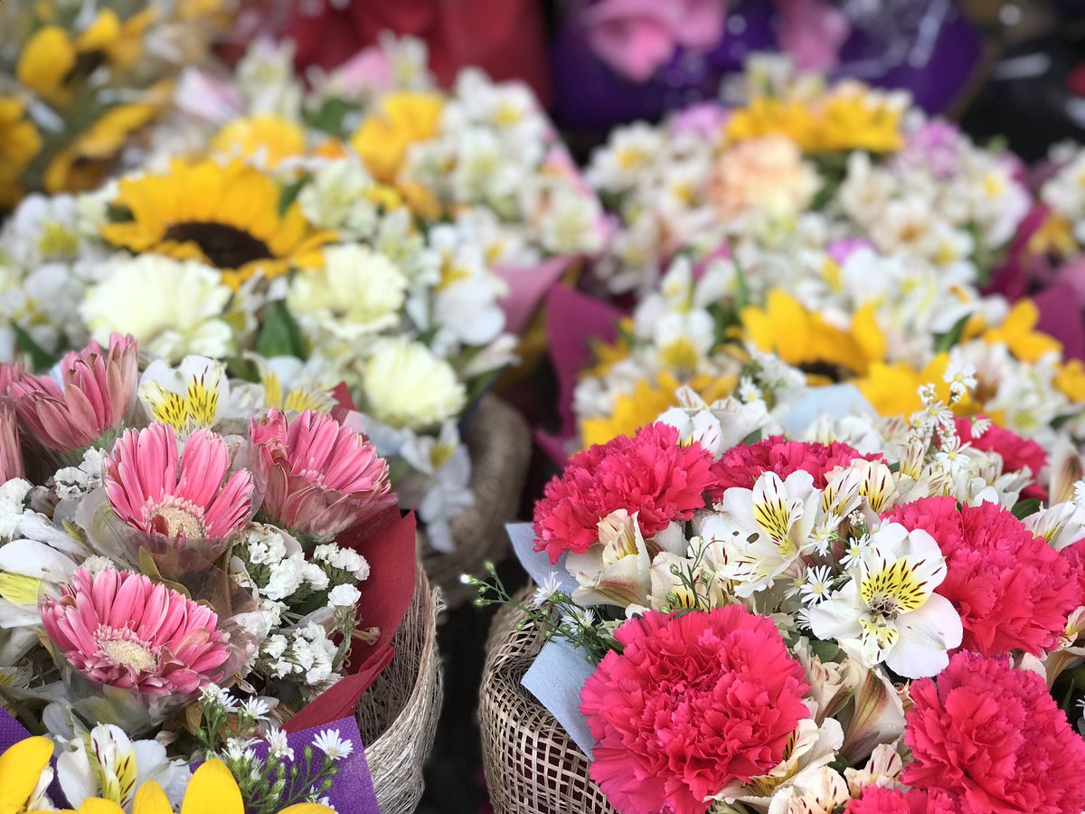 Dangwa : Latest News, Breaking News Headlines | Scoopnest