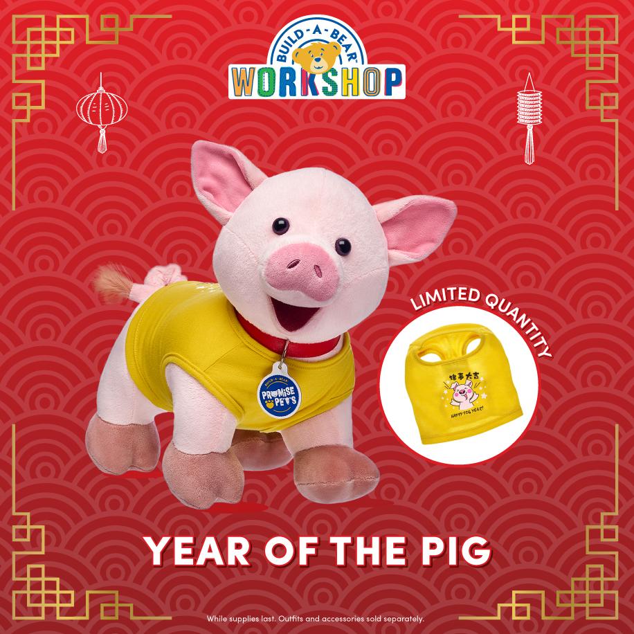 Is 2019 The Chinese Year Of The Pig