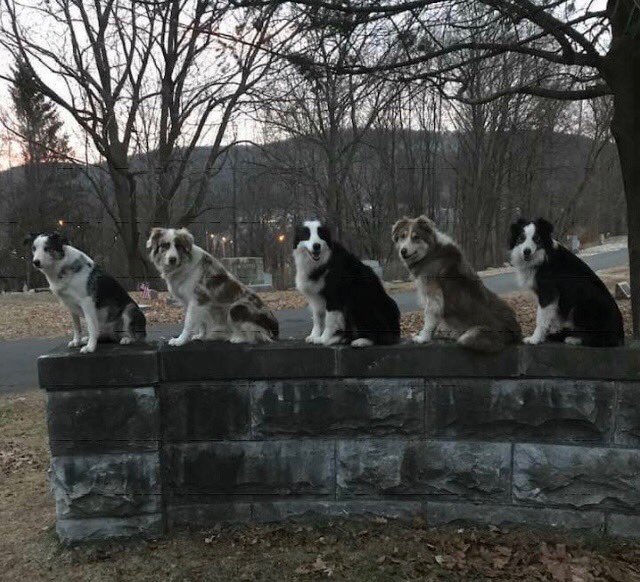 792 best Border Wall images on Pholder | Political Humor, Rickandmorty ...