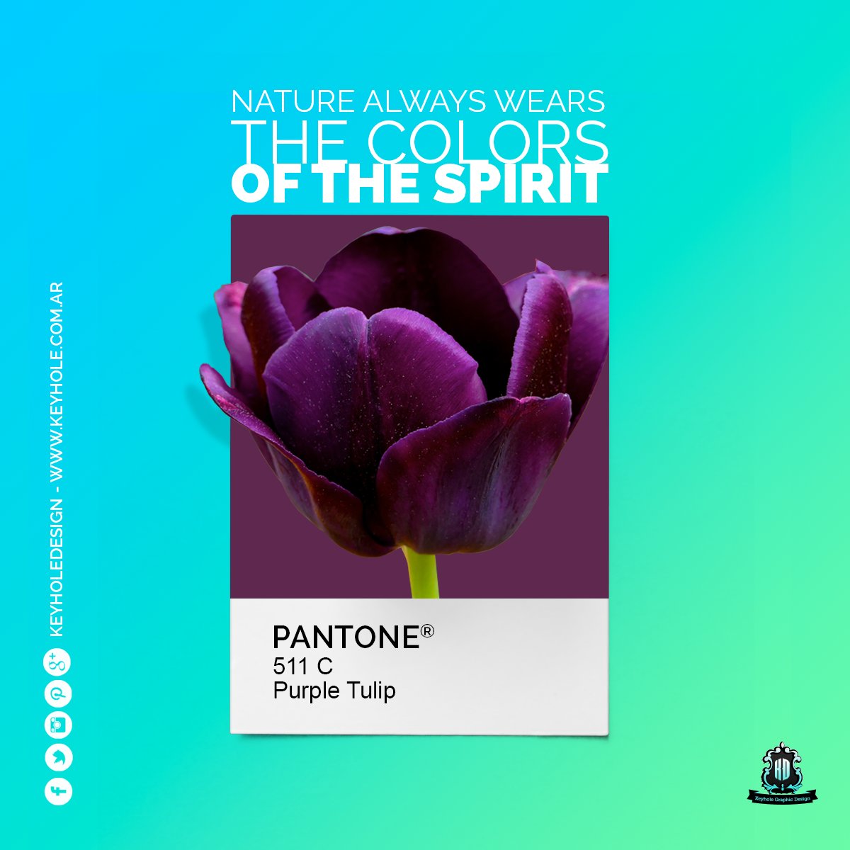 Pantone Violet Tulip Pantone Violet Tulip