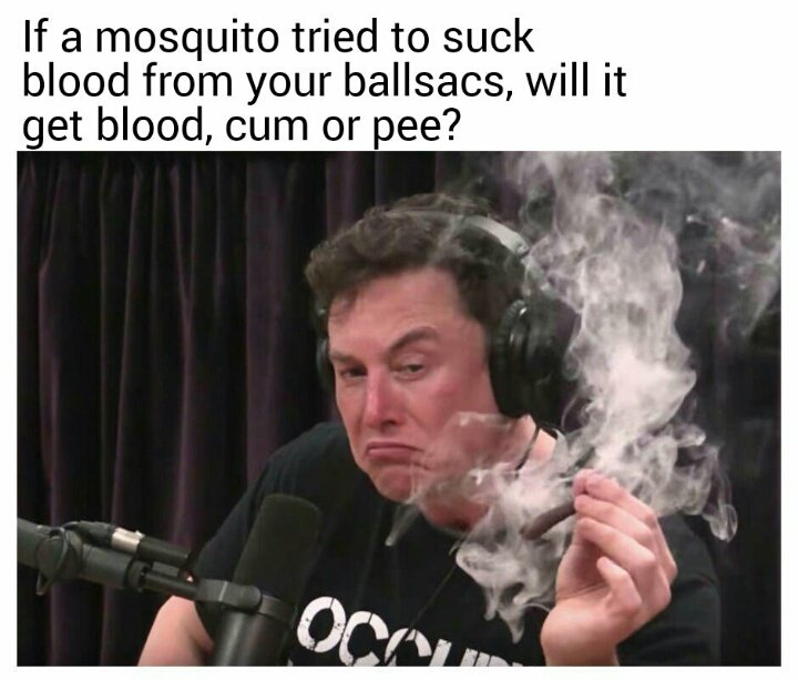 Scrotum Memes Most People With Two Balls Have Three. : R/memes