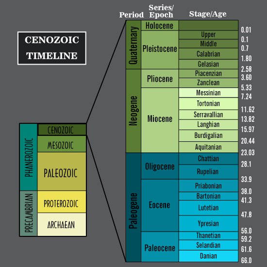 Quaternary Period Timeline Geological Timechart British Geological