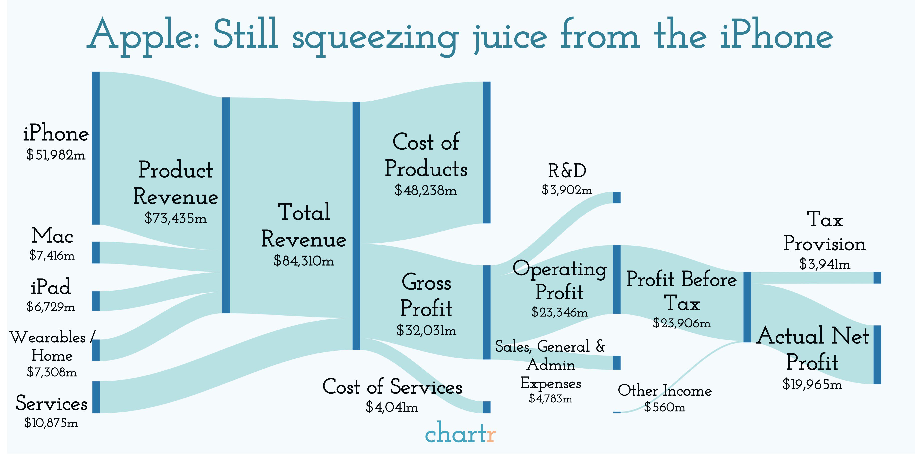 Apple Revenue Infographic