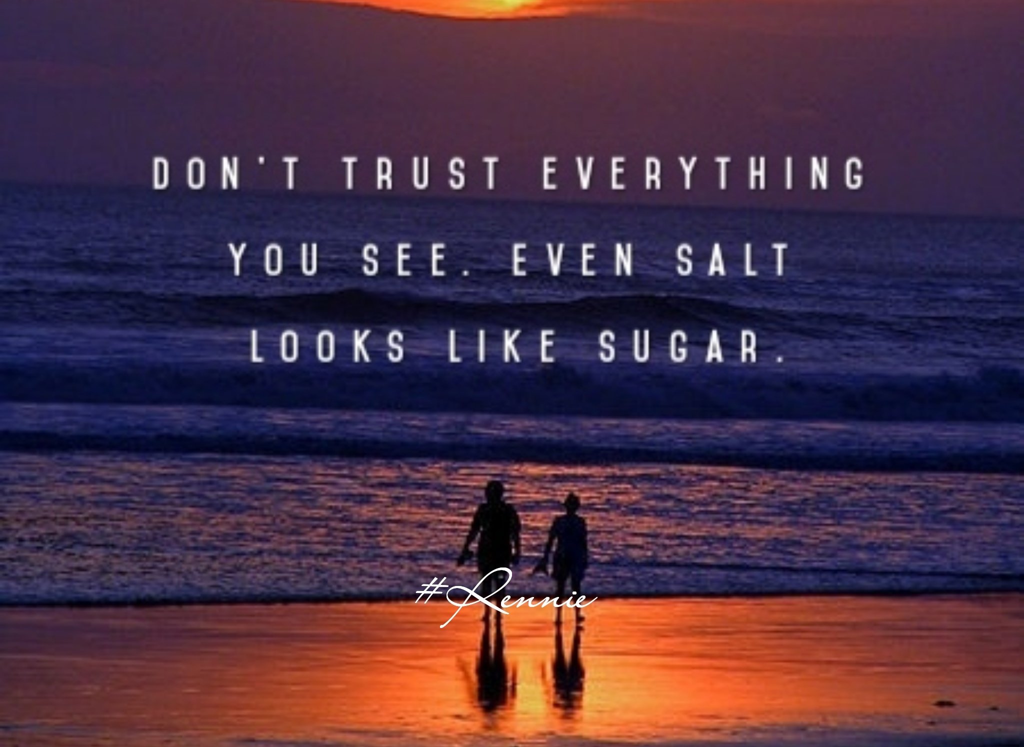 Salt And Love Quotes