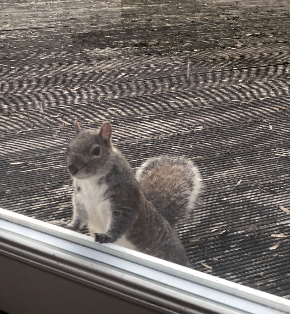 74 best Twitter u/jack_septic_eye images on Pholder | Same Energy