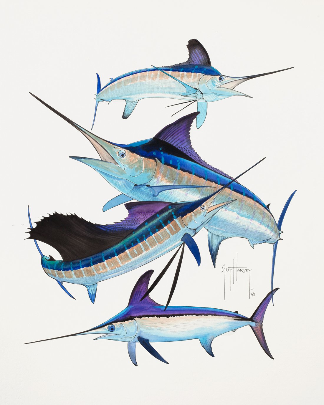 Guy Harvey Sailfish