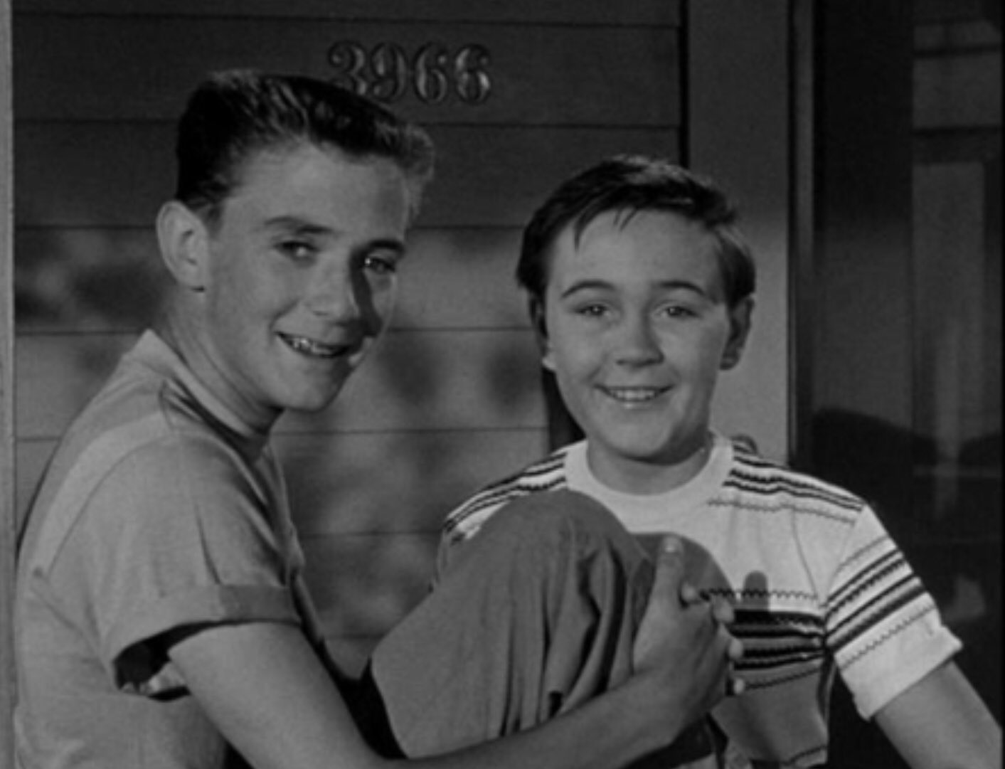 Tim Considine Hardy Boys