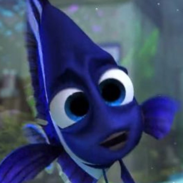 Deb Finding Nemo