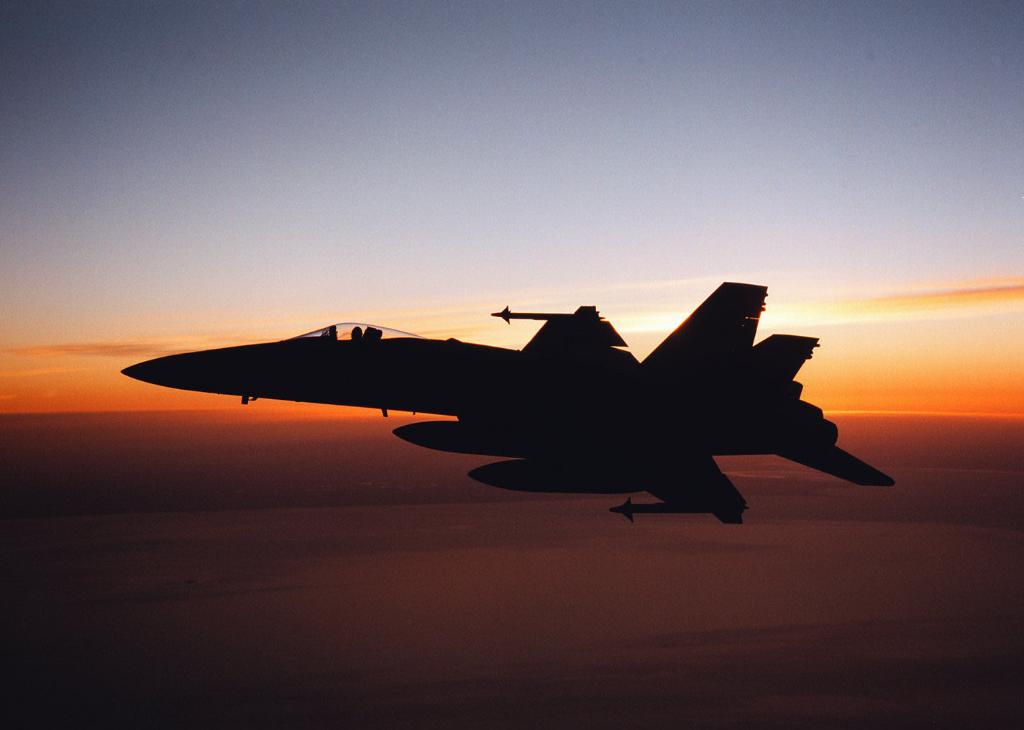 TBT to the glory days of the F/A-18 Legacy Hornet! The F/A-18C Hornets ...