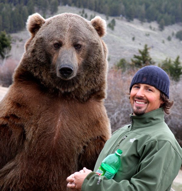 Pet Grizzly Bear Brutus