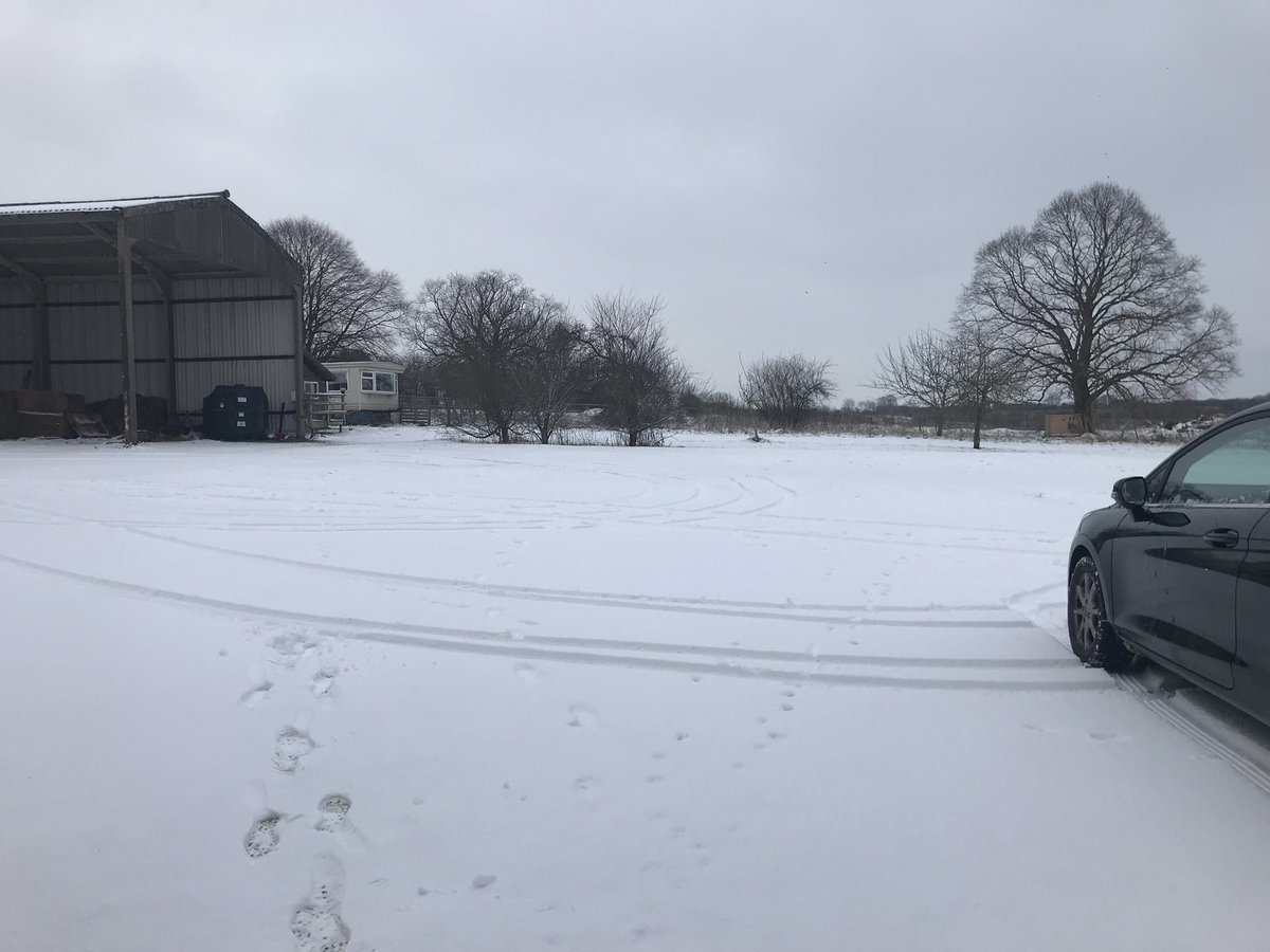 162 best Twitter u/no_rome images on Pholder