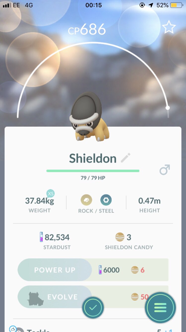 Shieldon Pokemon