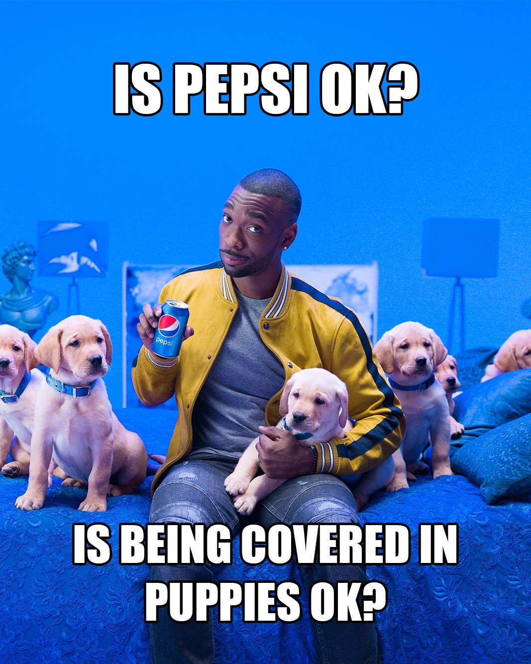 Pepsi Pup Memes