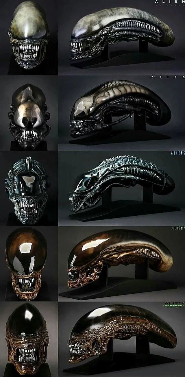 Xenomorphs Evolution