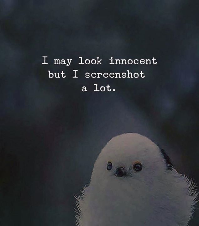 Not Innocent Quotes