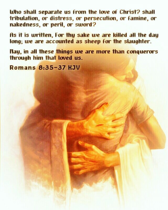 Romans 8 35