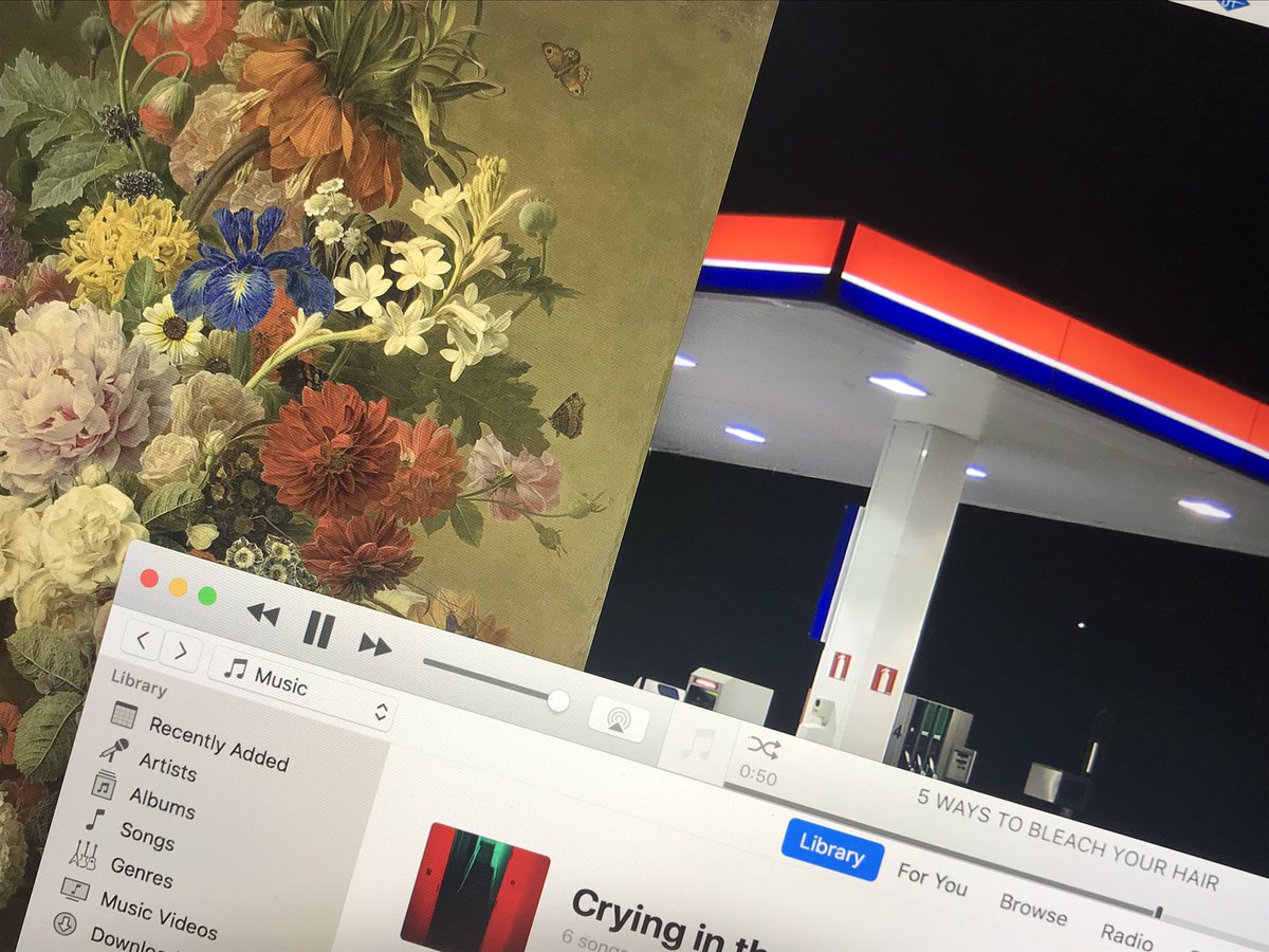 162 best Twitter u/no_rome images on Pholder