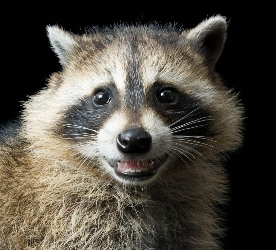 Mejor REMEDIO para BOLSAS y OJERAS? +foto - Forocoches