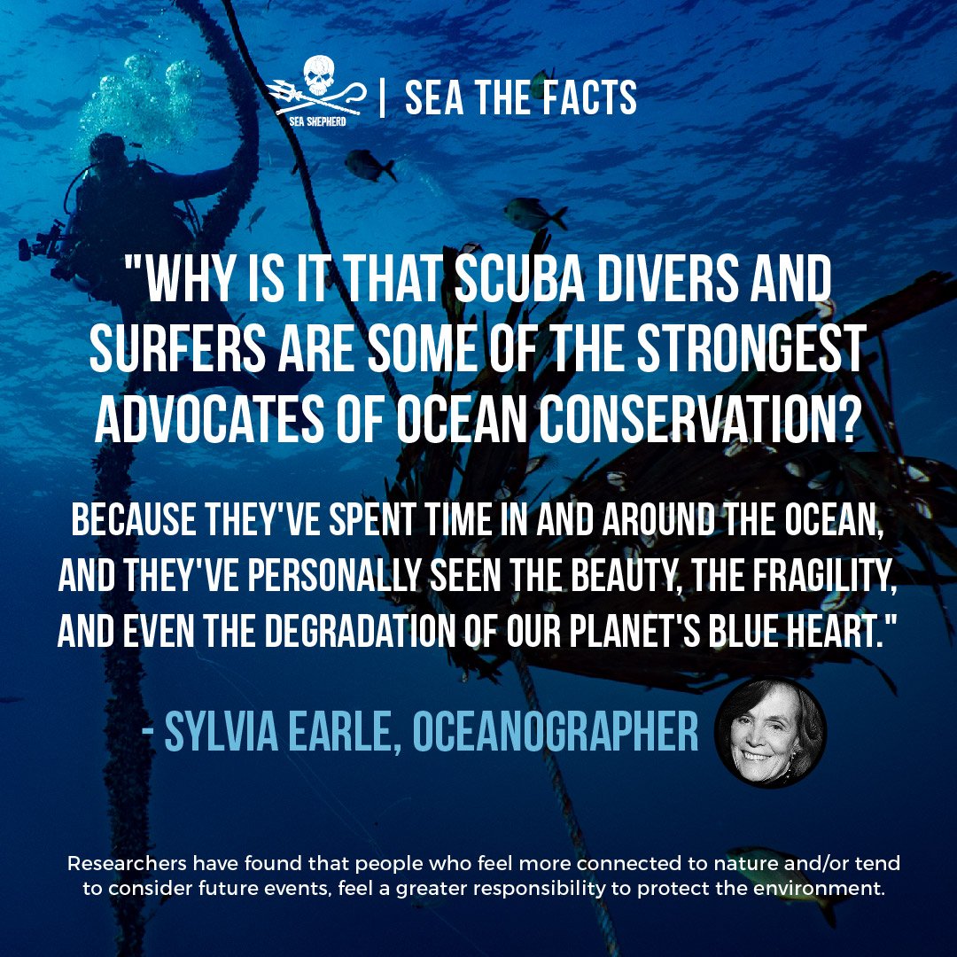 127 best Sea Shepherd images on Pholder | Sea Shepherd, Granturismo and ...