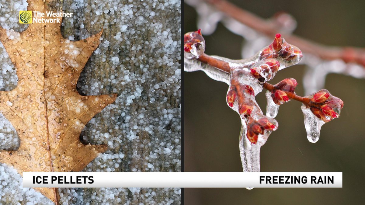 The Weather Network on Twitter: "Is it freezing rain or ice pellets? Freezing rain Starts as ...