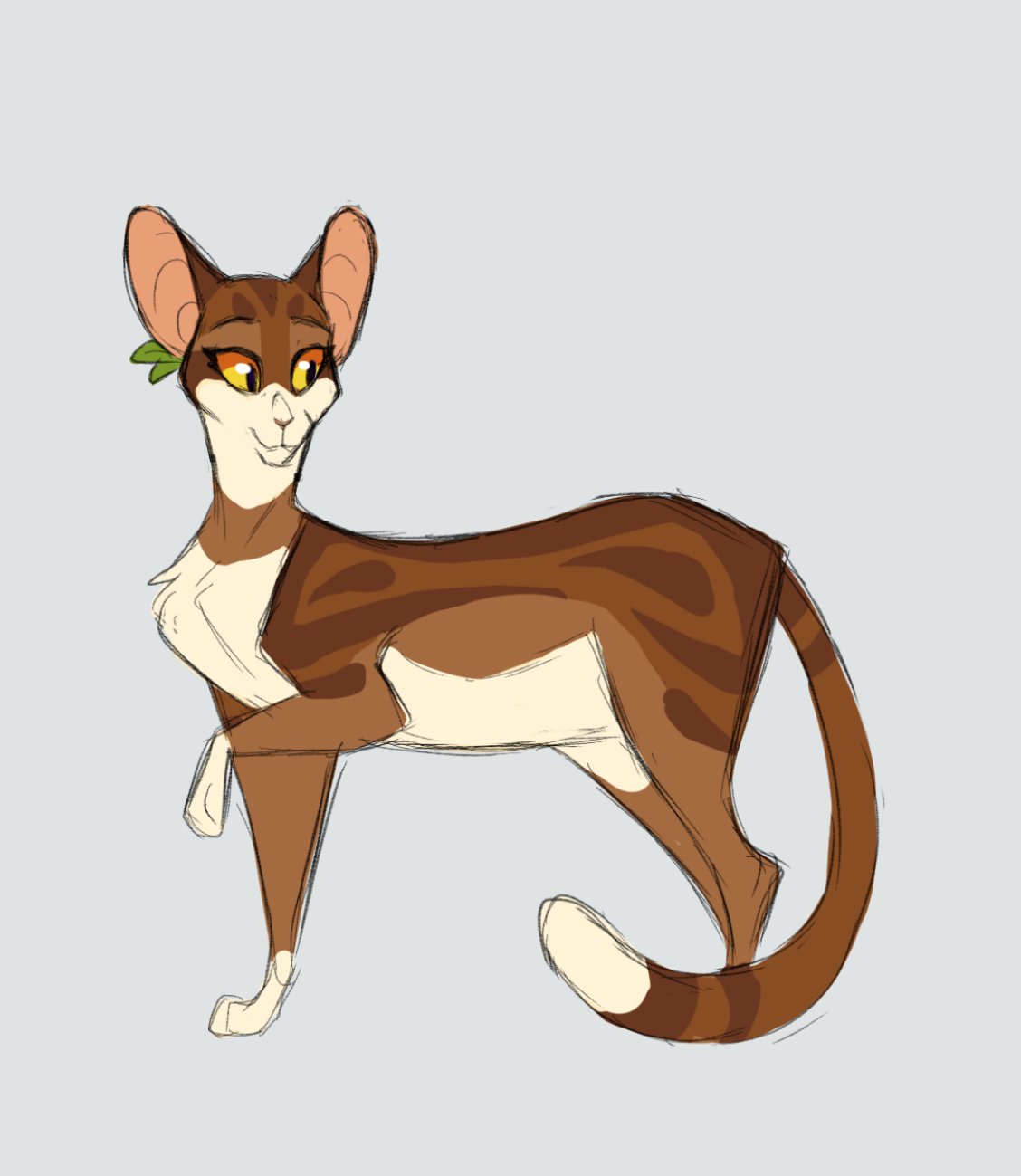 Warrior Cats Squirrelflight And Leafpool Sisters Leafpool And