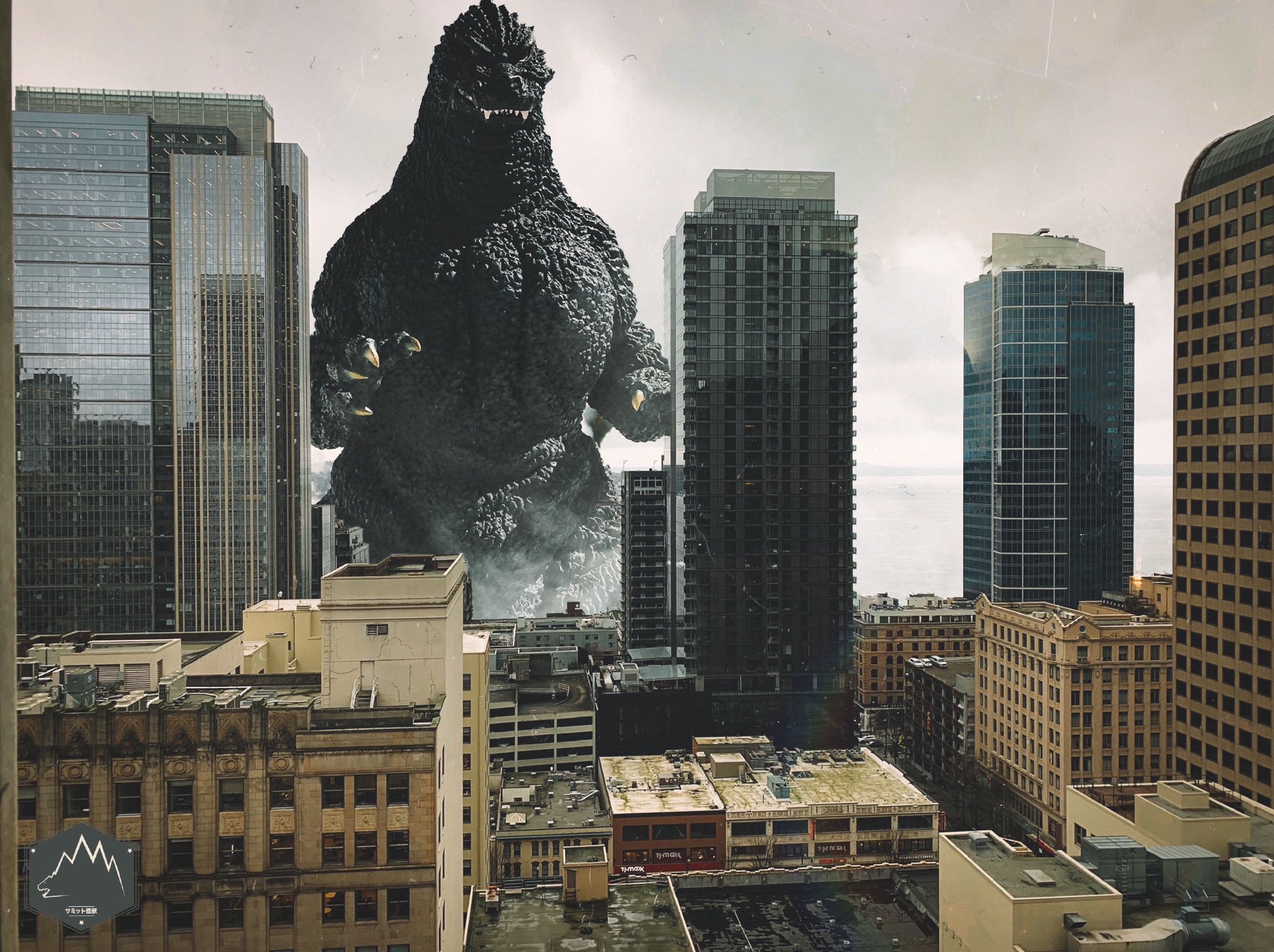 Real Godzilla Sightings