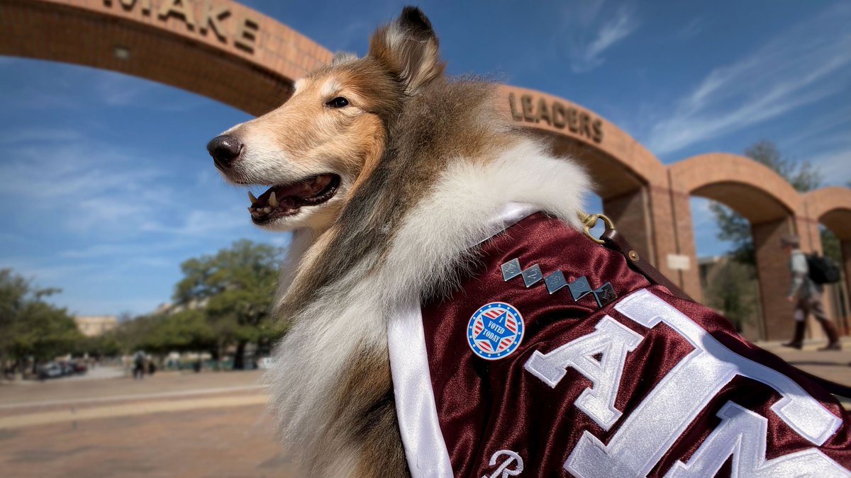 169 best Reveille images on Pholder | Reveille, Aggies and France
