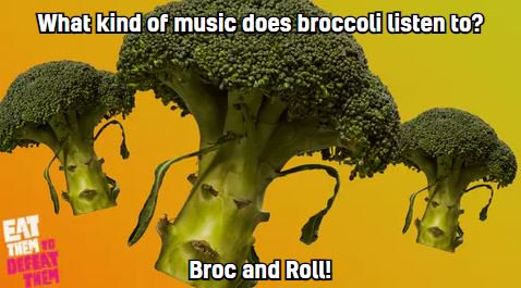 Funny Broccoli Memes Former Binance CEO CZ's Pet Broccoli Leads To 20K