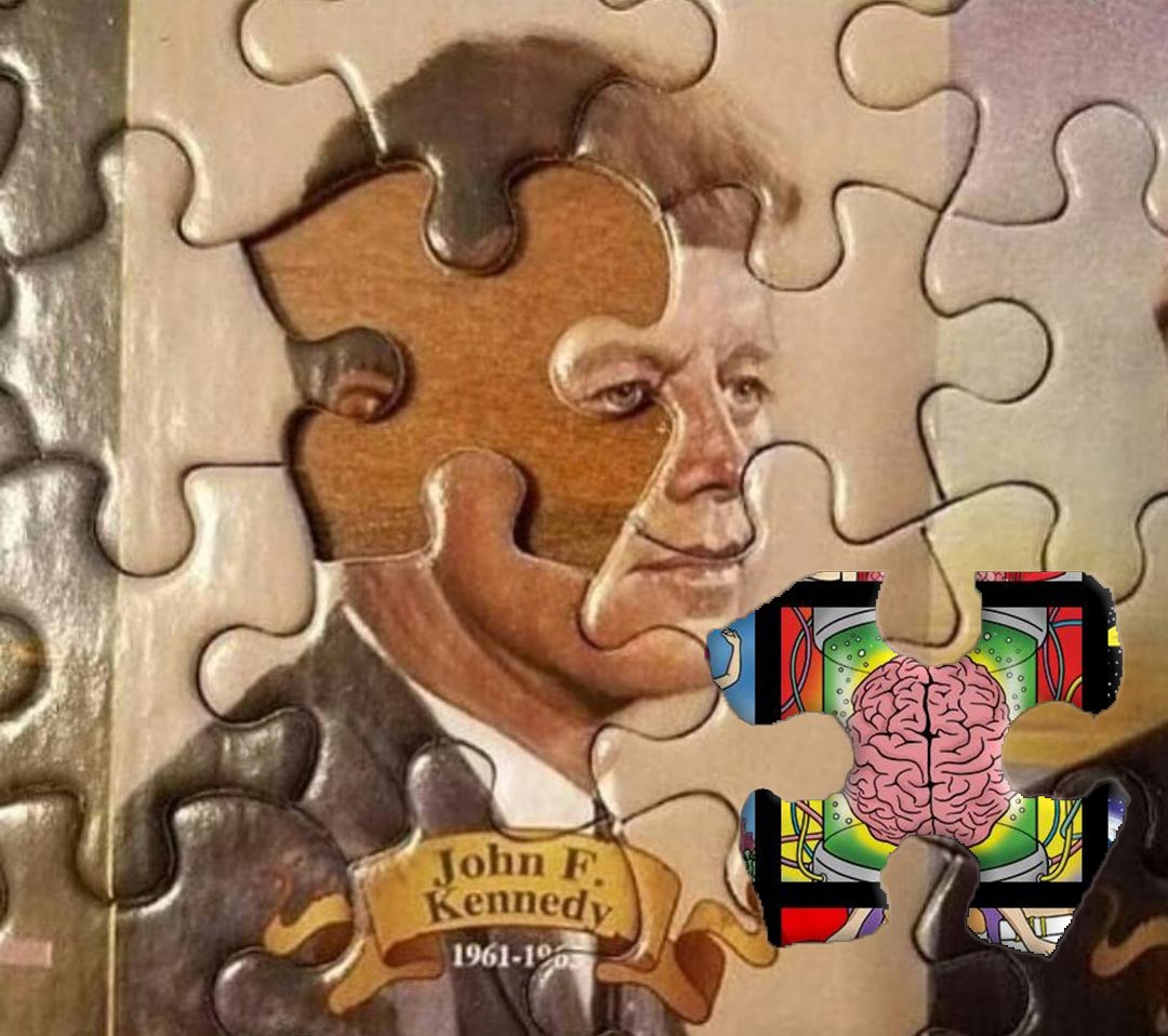 John F Kennedy Brains