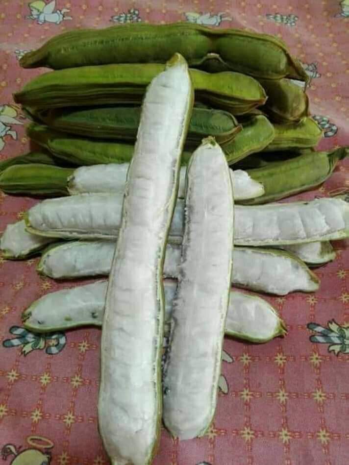 What are your favorite and least favorite fruits from your country? : r ...