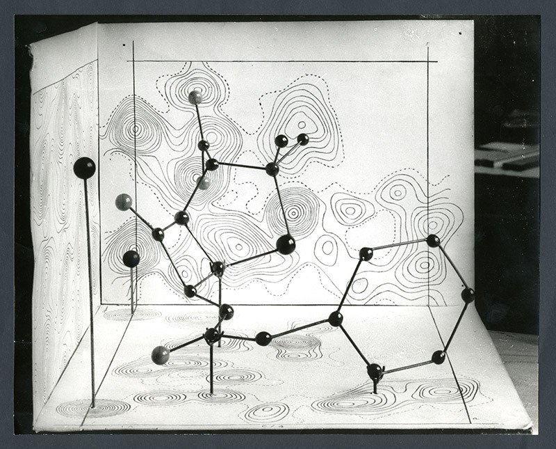 dorothy hodgkin: Latest news, Breaking headlines and Top stories ...