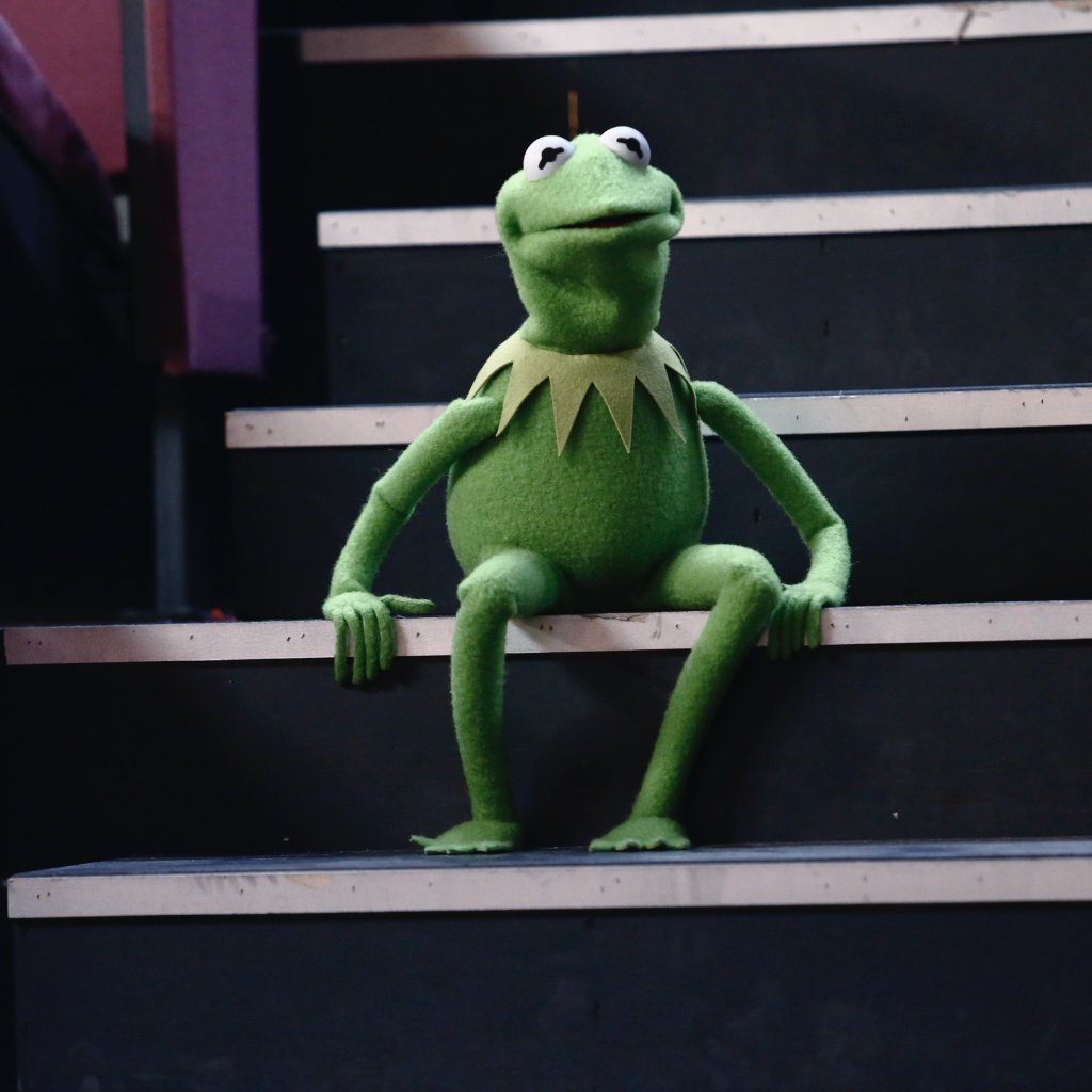 Kermit The Frog Standing