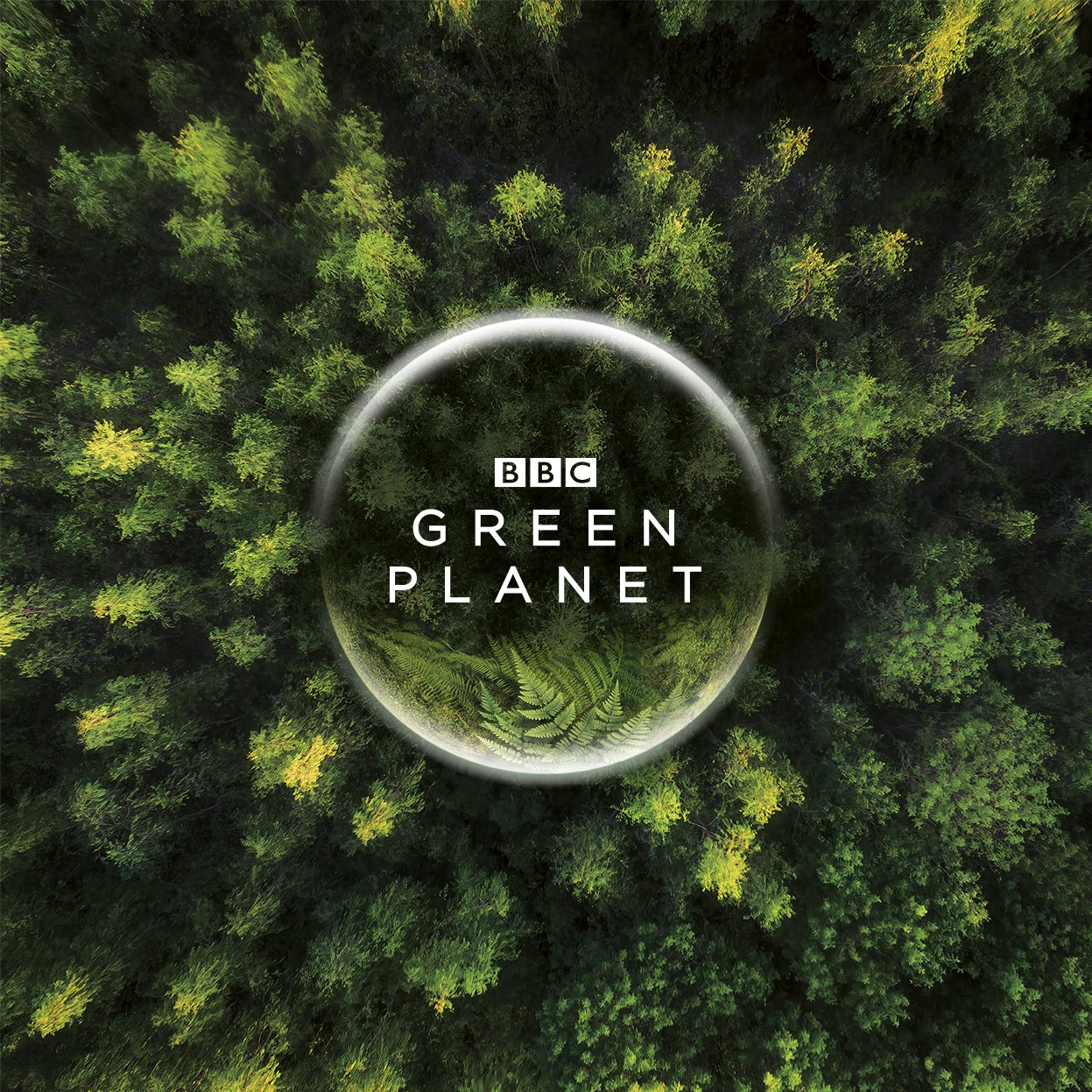 Planet Earth Bbc Logo