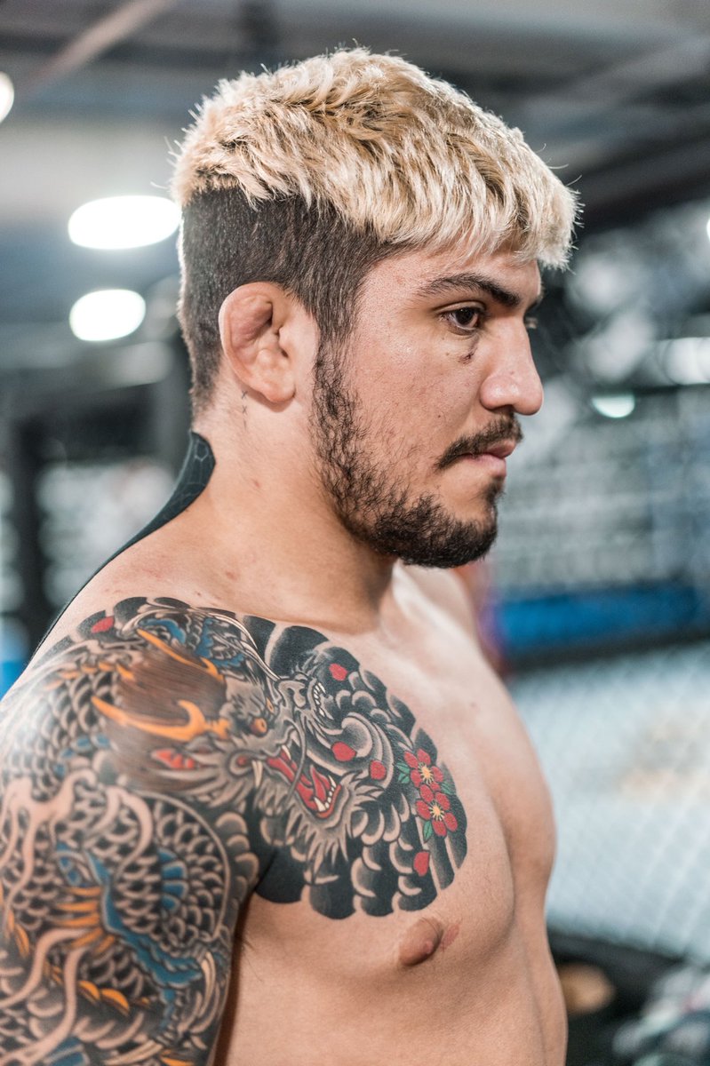 167 best Dillon Danis images on Pholder | Dillondanis, Ufc and Ksi
