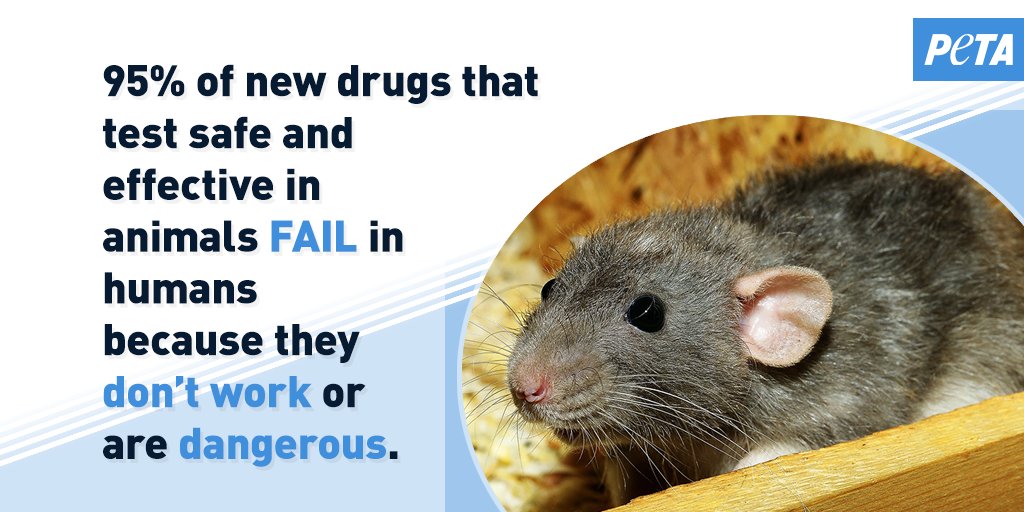 Bad Animal Testing Pictures