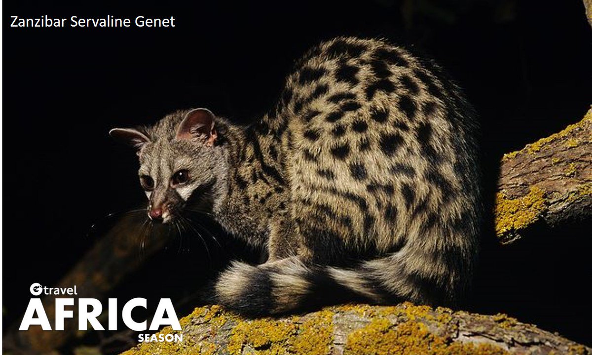 Servaline Genet