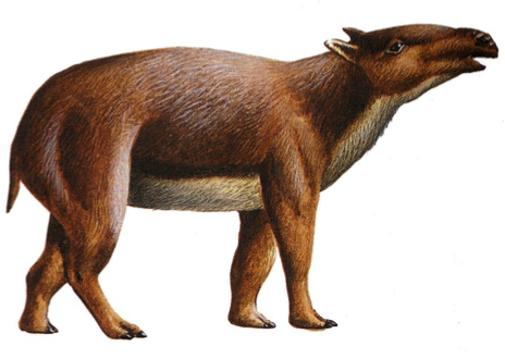 Palaeotherium Ice Age